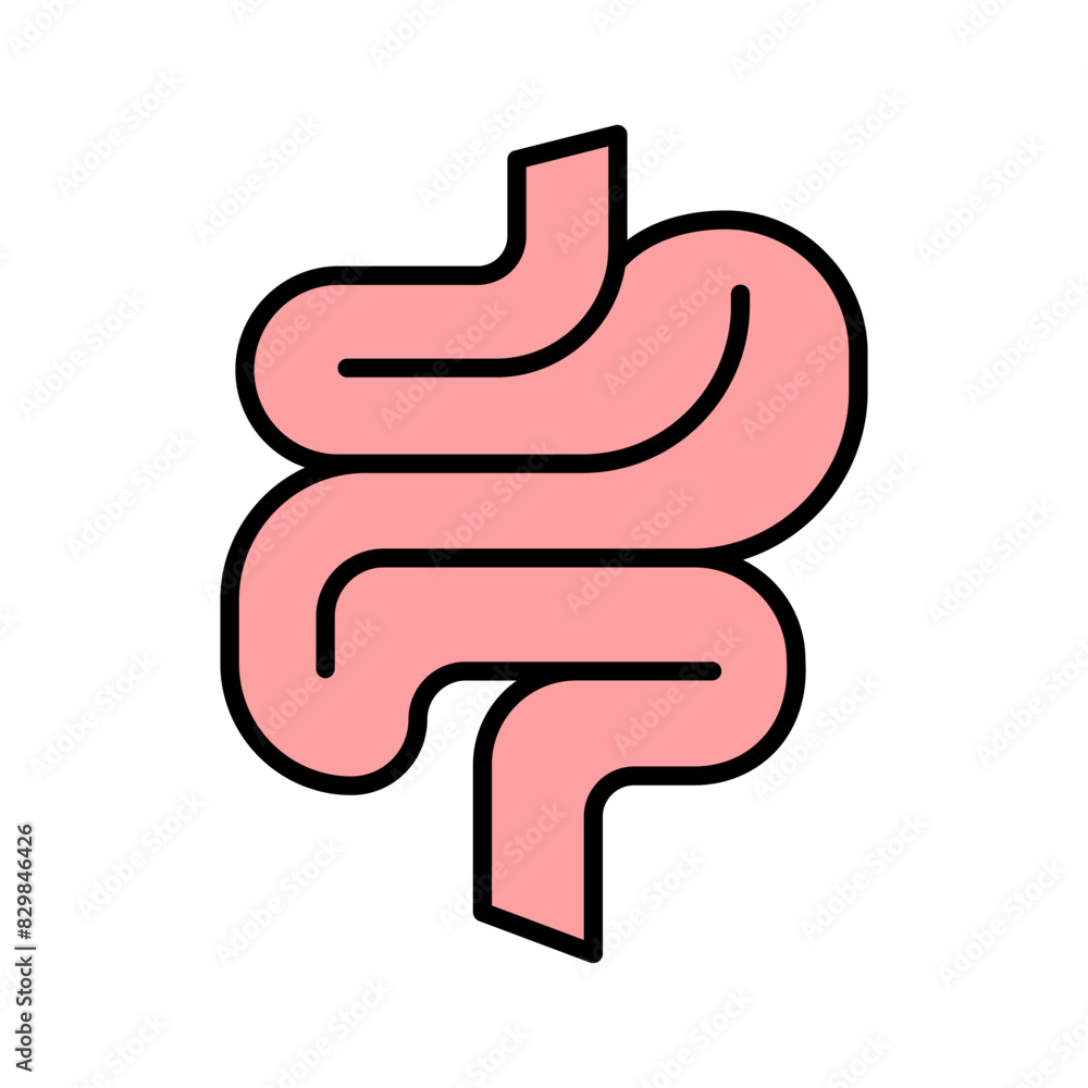 Digestive system set icon. Intestines, small and large, stomach ...