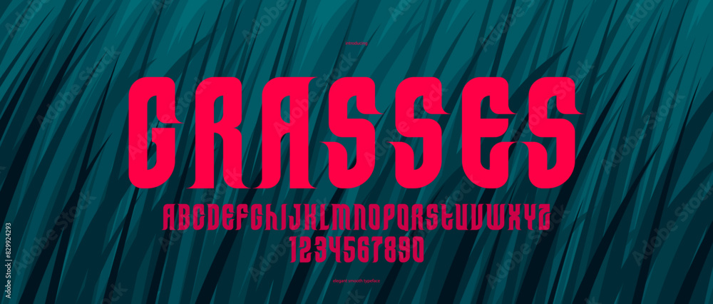 Luxury elegant vector font for logos and emblems, modern letters ...