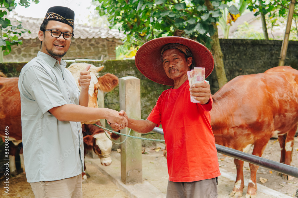 Joyful Asian Muslim man handshake with the cattleman livestock cows for ...