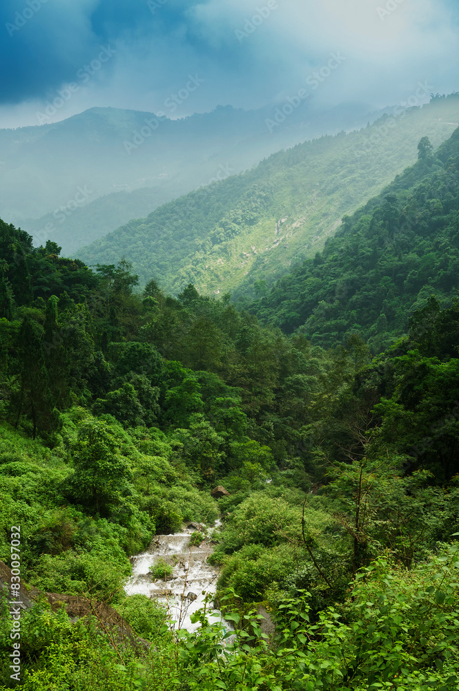 Himalayan mountains and lush green forest. Scenic natural beauty of ...