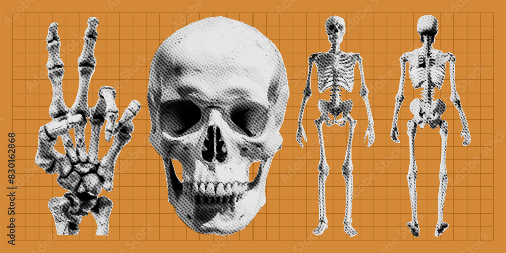 Halftone Human Skull and Skeleton. Contemporary clip art shapes with ...