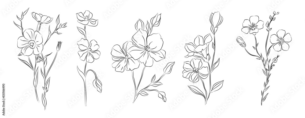 Flax flower line art drawing. Hand drawn black ink sketch. Modern ...