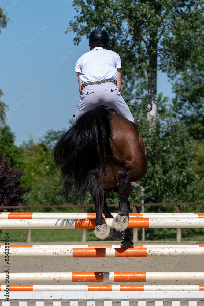 Show jumping competition on horseback. Horse Jumping, Equestrian Sports ...