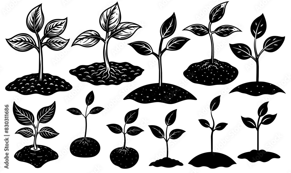 Monochrome sprout set. Black and white collection depicting various ...
