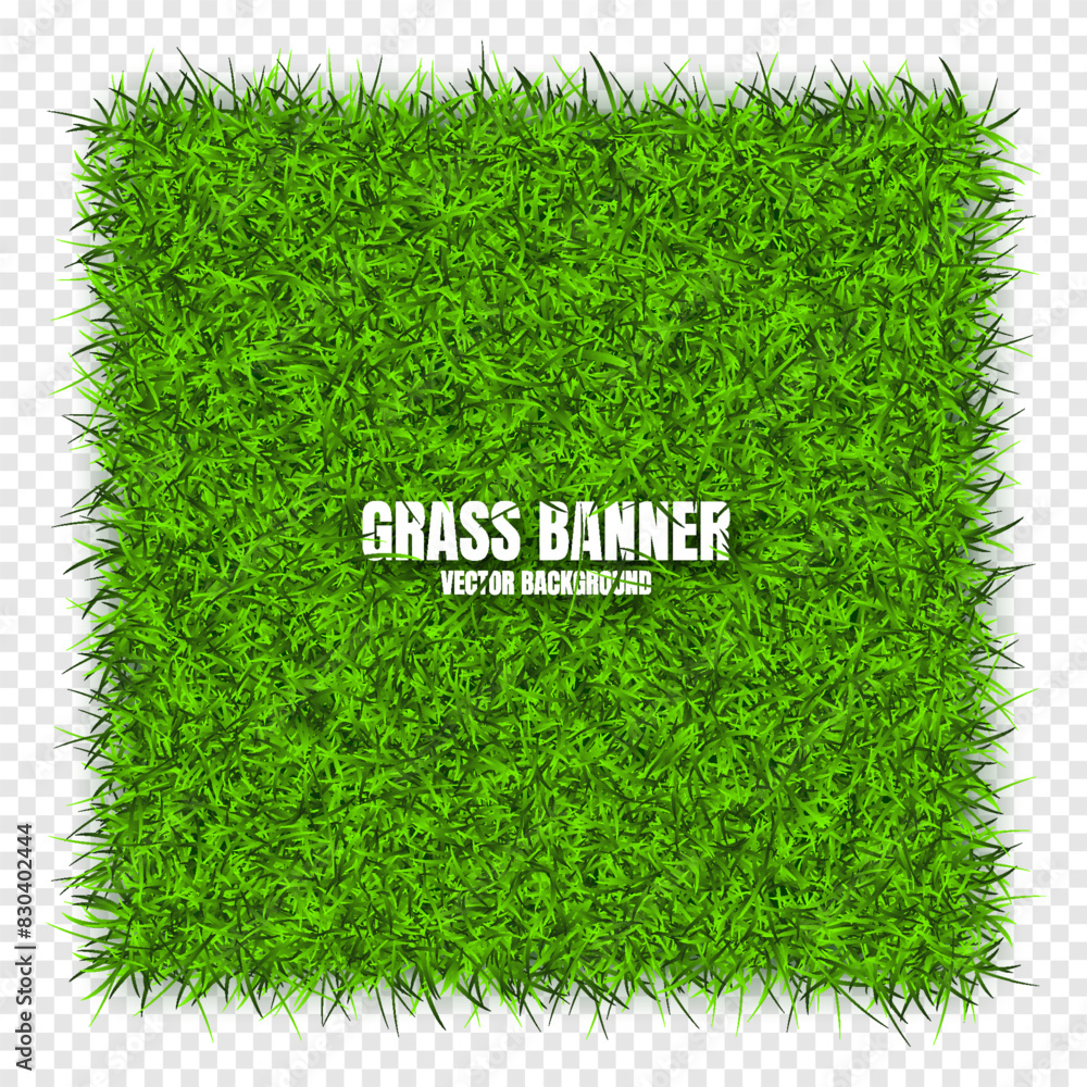 Green grass banners, background. Field, meadow texture, grassy ...