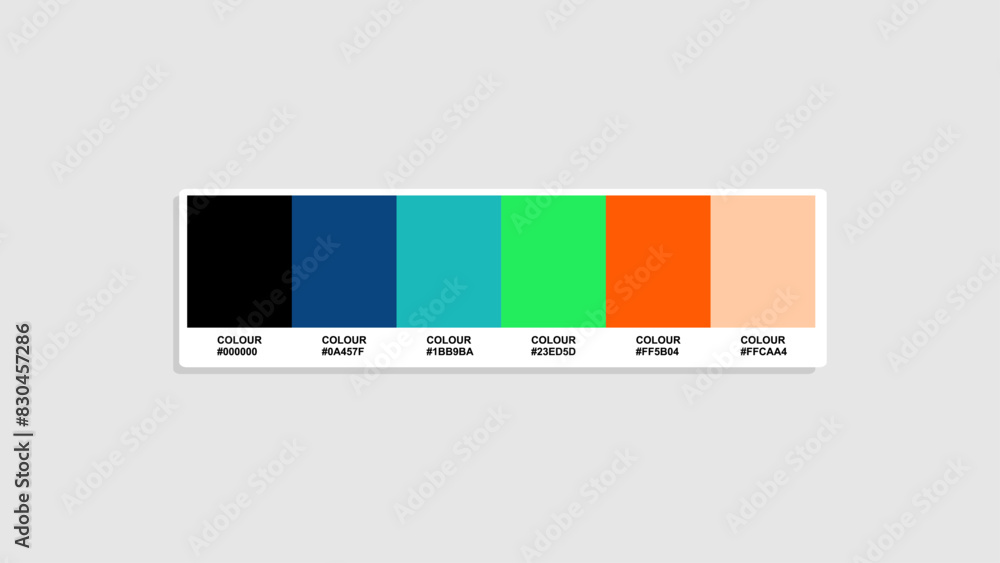 modern Color Guide Palette with Color Names. Catalog Samples colour ...