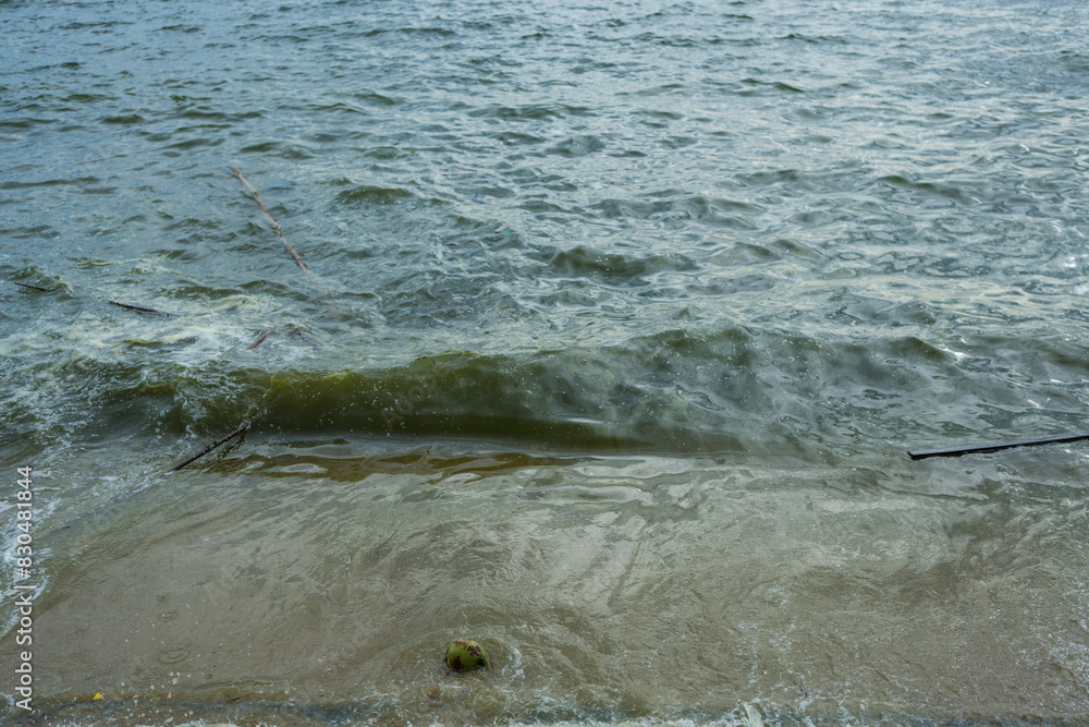 Green Sea natural plankton boom Bangsaen, Chonburi, Thailand. Plankton ...