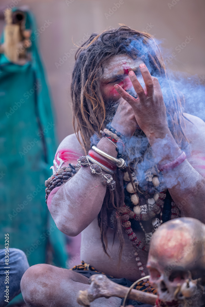 Portrait of an naga aghori sadhu holy man with pyre ash on his face and ...