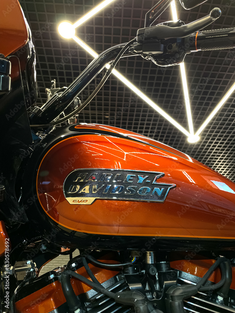 Harley-Davidson Motorcycle Logo - Gas Tank Location close-up. The gas ...