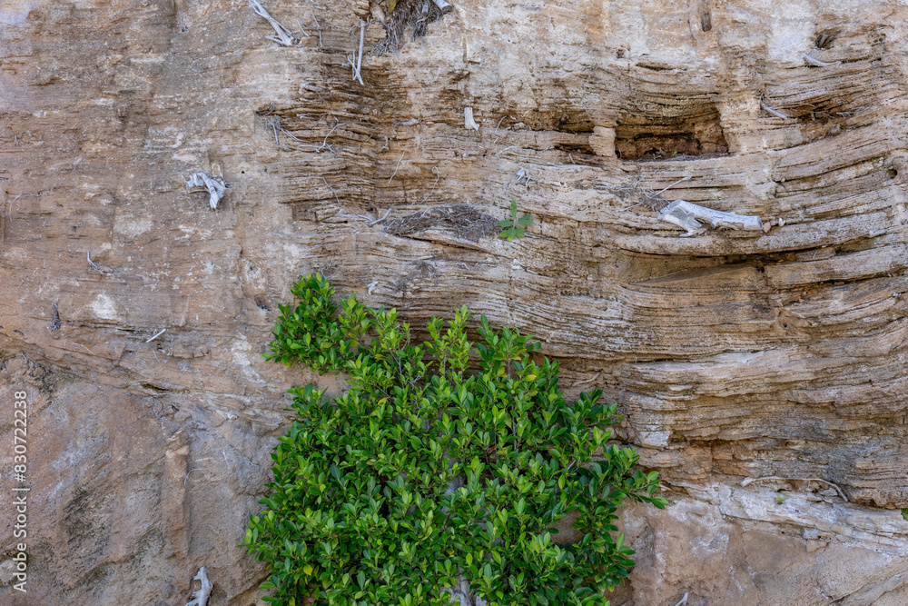 Older dune deposits / Sand dunes / Well-sorted calcareous sand, Geology ...