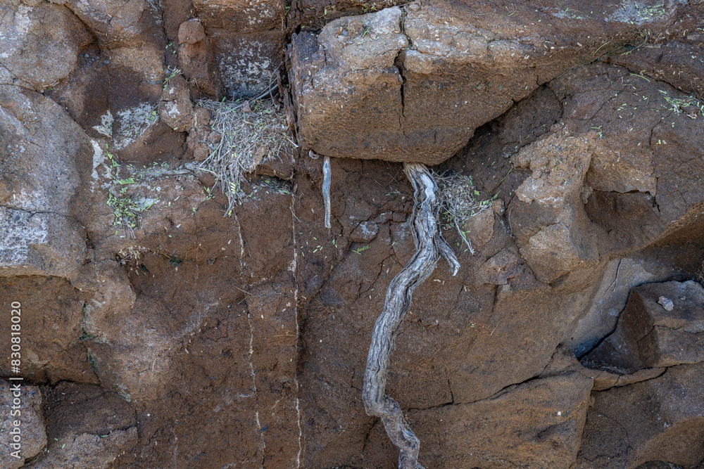 Caliche with Tuff, Tuff is a type of rock made of volcanic ash ejected ...