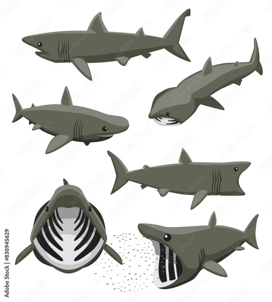 Cute Basking Shark Poses Set Cartoon Vector Stock Vector | Adobe Stock
