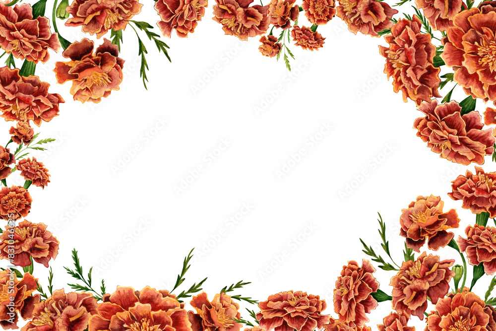 Marigold flower copy space postcard design. Floral tagetes frame for ...