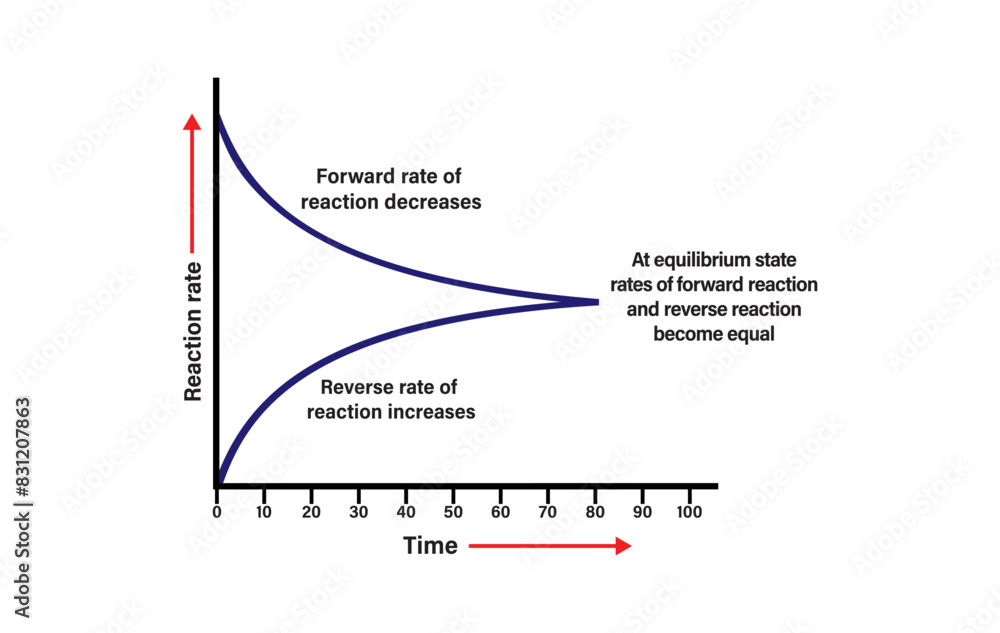 Vetor de Reverse reactions and establishment of an equilibrium state ...