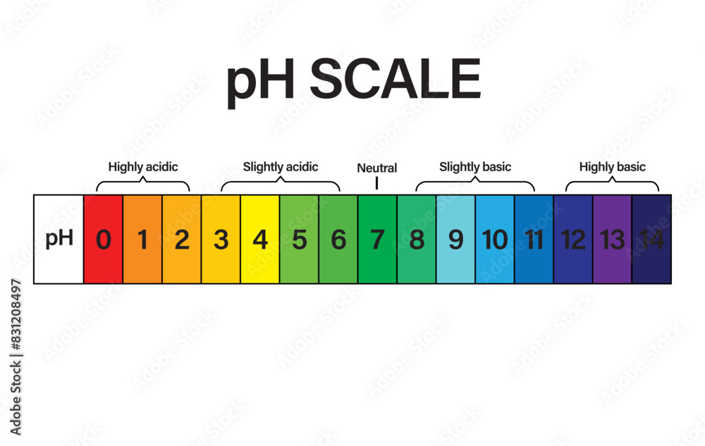 pH SCALE. pH scale Vector scientific graph. pH scale indicator chart ...