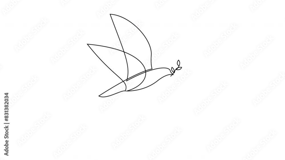 2d Animation motion graphics continuous line drawing of dove with olive ...