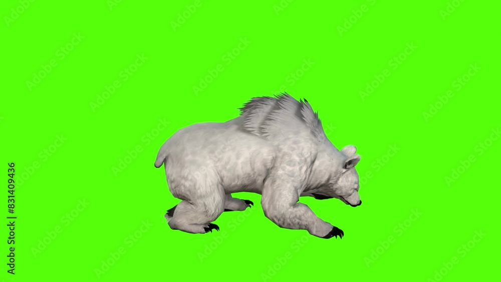 Bear Double Claws Attack Green Screen Animation 4K Rendering. Stock ビデオ ...
