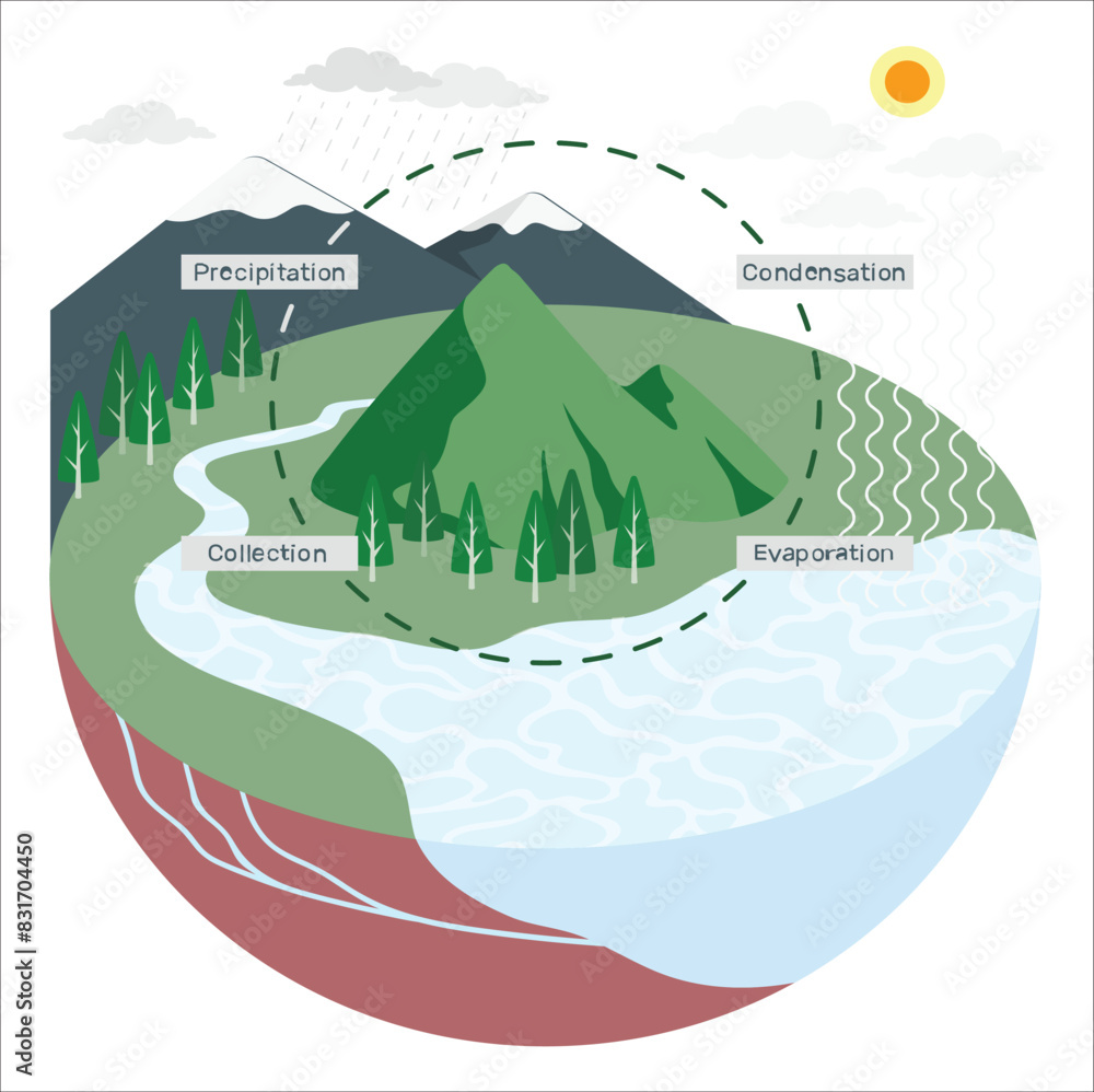 Education Chart of Biology for Water Cycle Diagram. 3d Water cycle ...