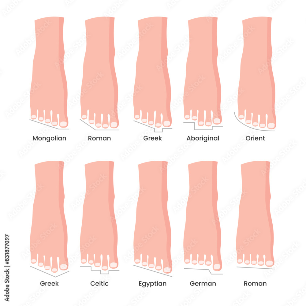 Set of Foot type vector detailed concept with mongolian, germanic ...