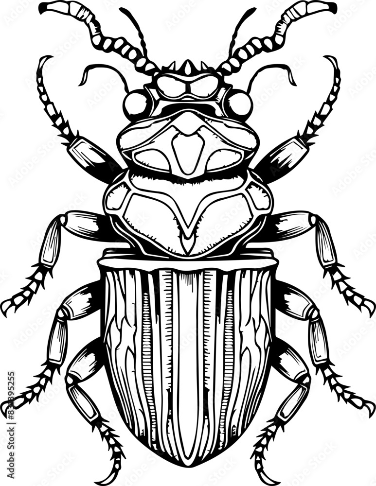 Bug beetle vector transparent background PNG clipart Stock Vector ...