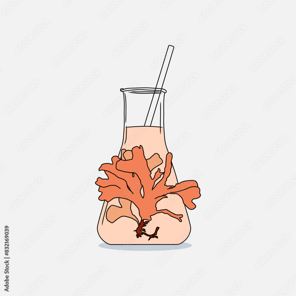 Hand drawn Erlenmeyer flask filled Red seaweed Rhodymenia pseudopalmata ...