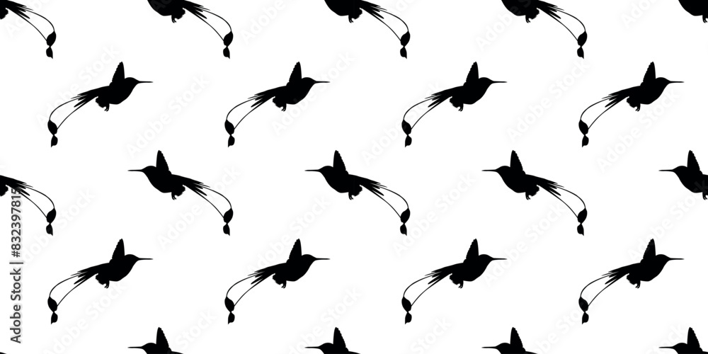 hummingbird. a shadow. the silhouette of a hummingbird. Feathered ...