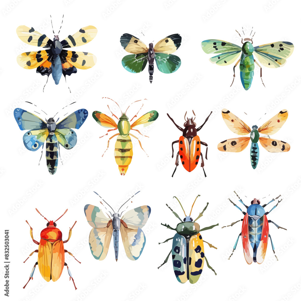 Watercolor clipart vector of a insect set, isolated on a white ...