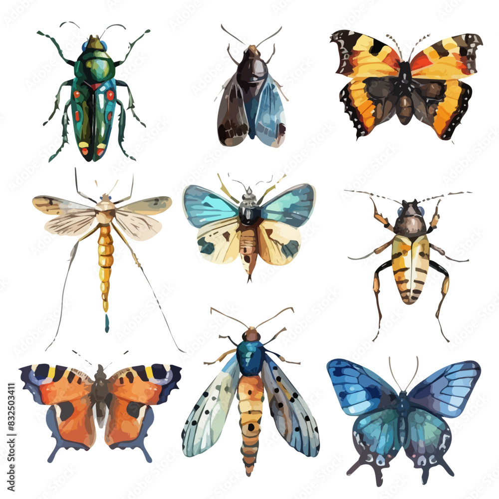 Watercolor vector of a insect set, isolated on a white background ...