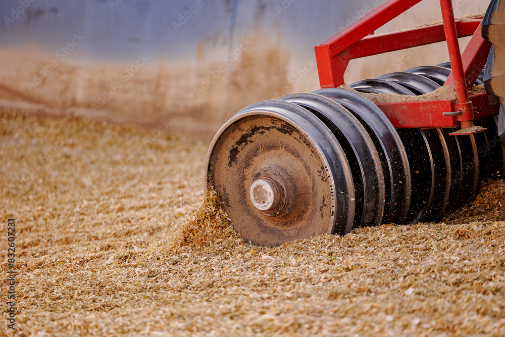 Silage production concept. Heavy roller on tractor for pressing silo on ...