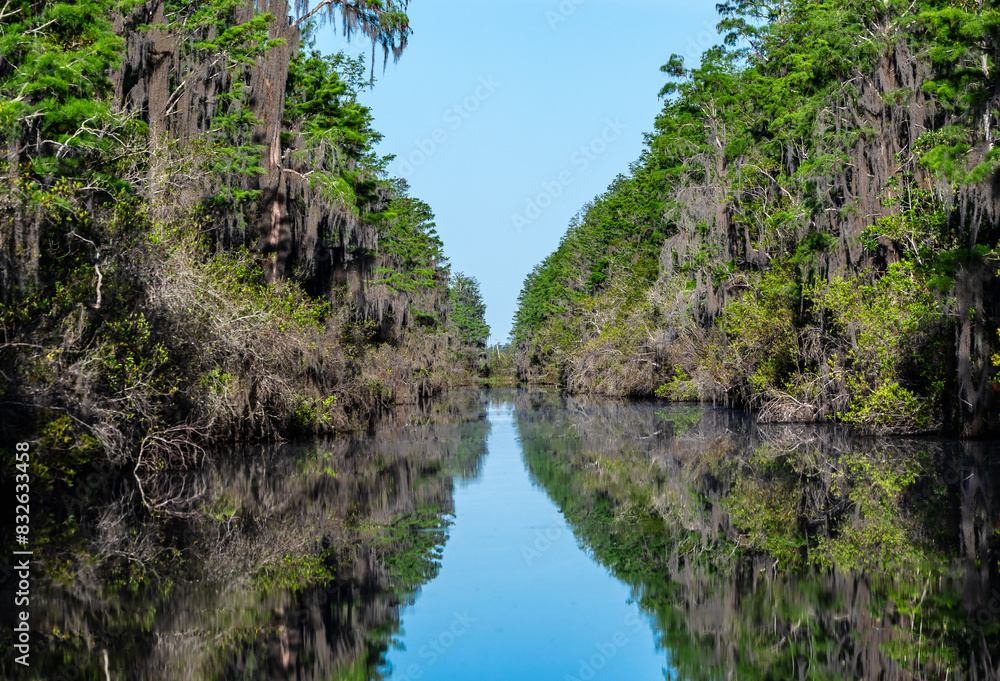 Okefenokee wetland landscapes in Folkston Georgia from the view of a ...