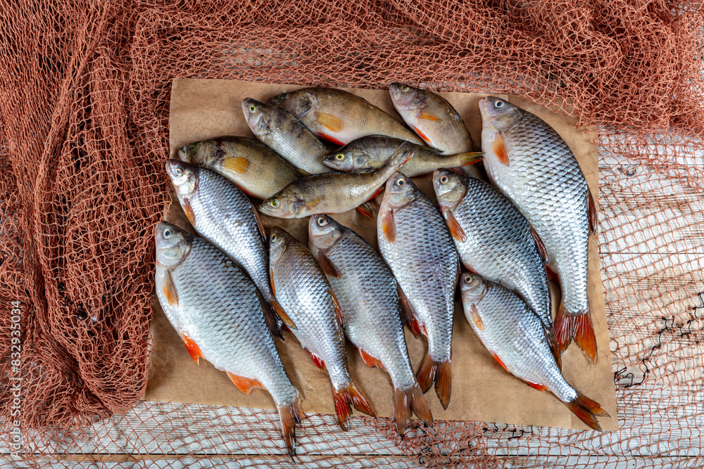 Freshwater fish carp are sold at the fishmonger's stall. Raw Greas carp ...