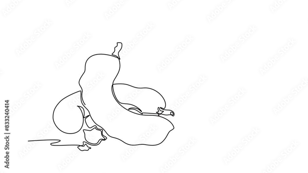 Self drawing animation of single line draw whole and peeled healthy ...