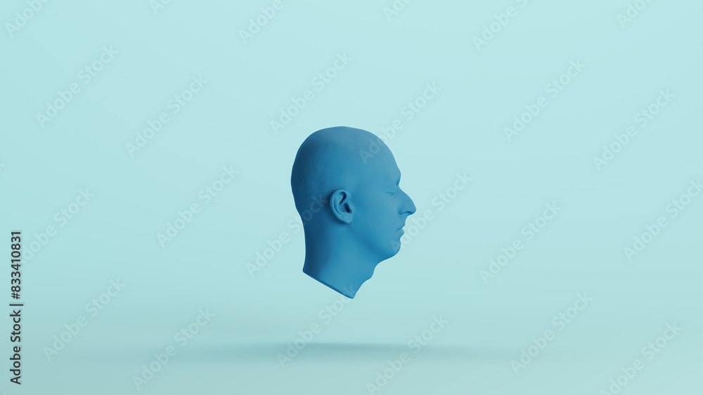 Blue ecorche medical anatomy sculpture anatomical muscles head pale ...