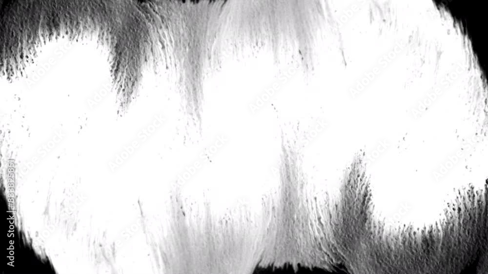 ink transition on white screen, drop texture, ink transition splatter ...