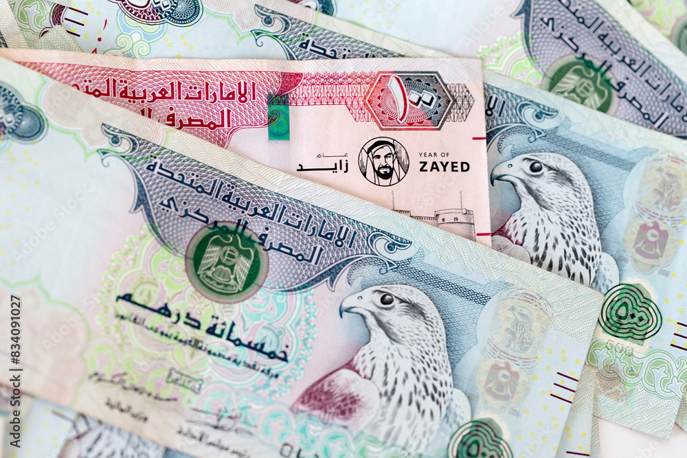 UAE dirhams, paper money, one and five hundred dirhams banknotes ...