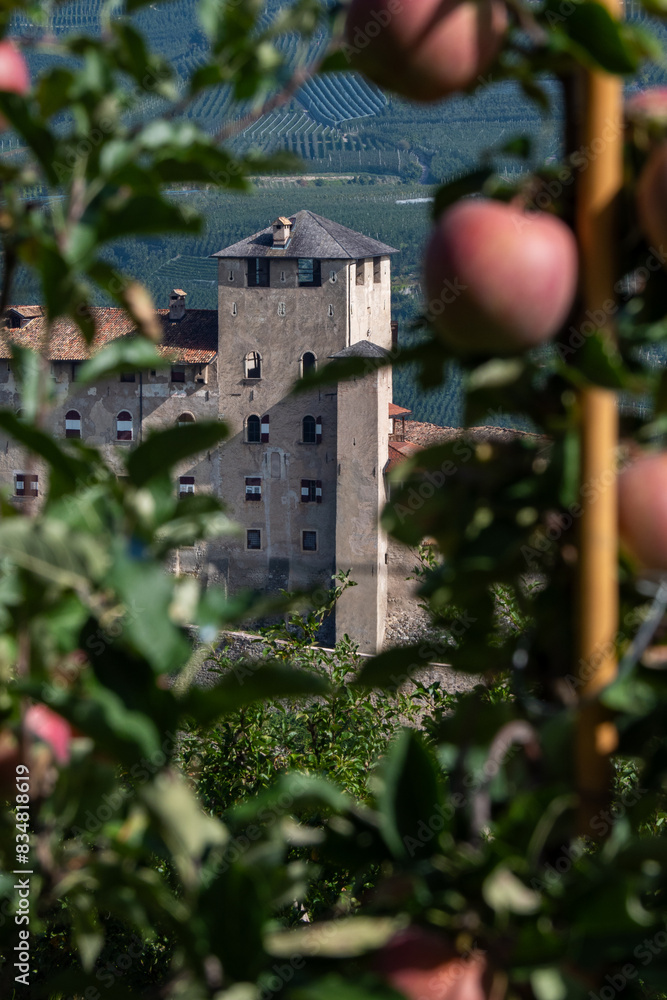 Apple Orchards at the Castello di Cles in Italy at the Lago di Santa ...