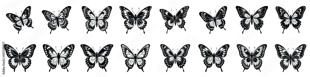 Detailed Black Butterfly Vector Set. Illustrations of Symmetrical ...