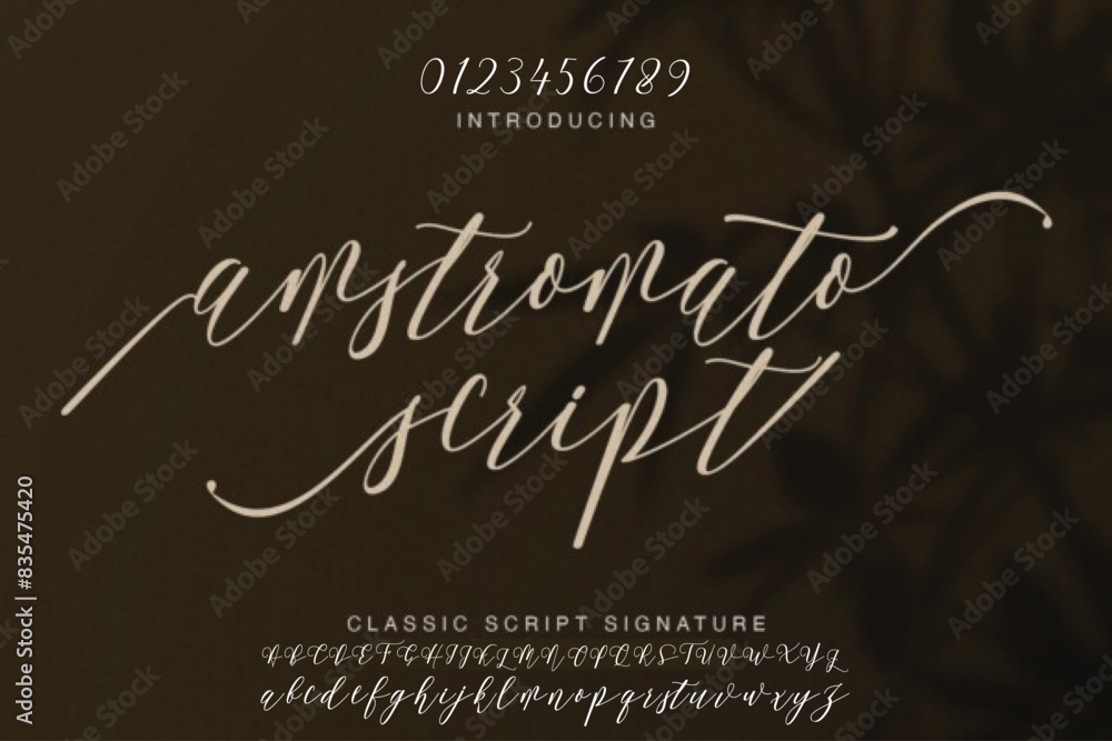 signature Font Calligraphy Logotype Script Brush Font Type Font ...