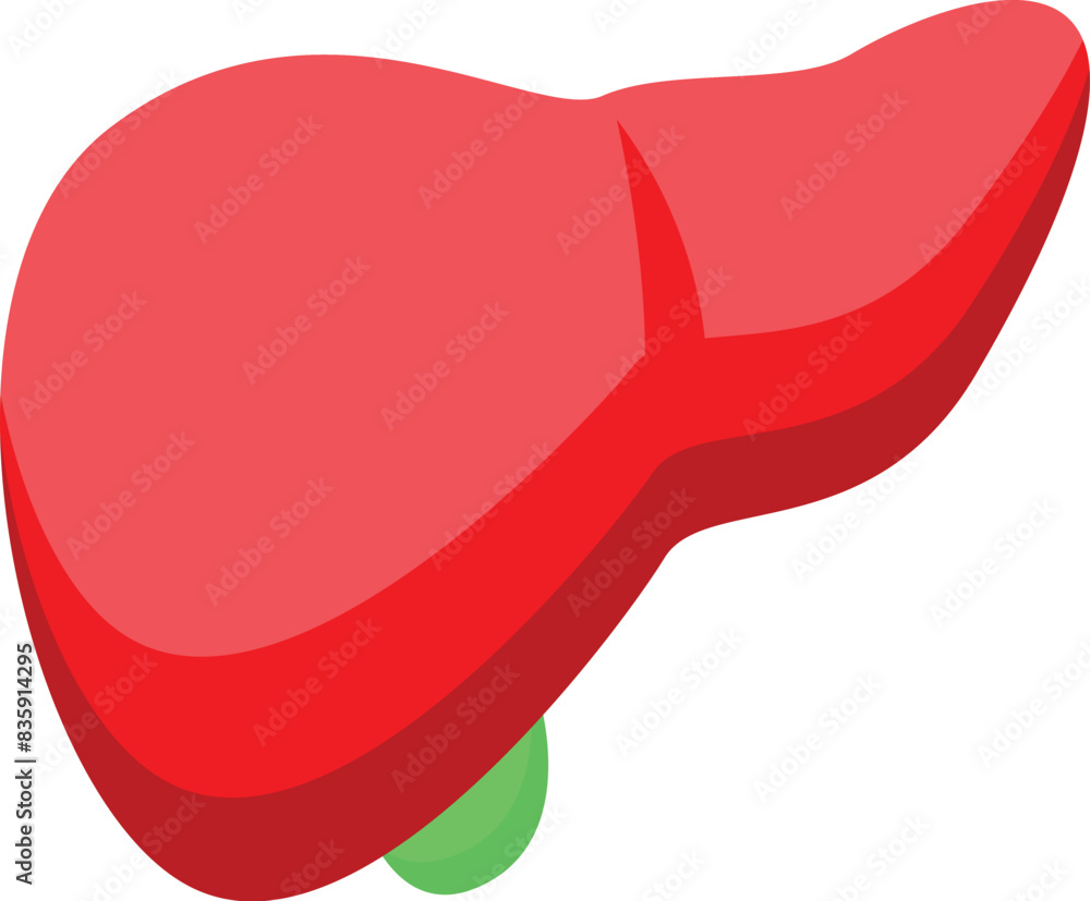 Colorful and vibrant cartoon liver illustration depicting the ...