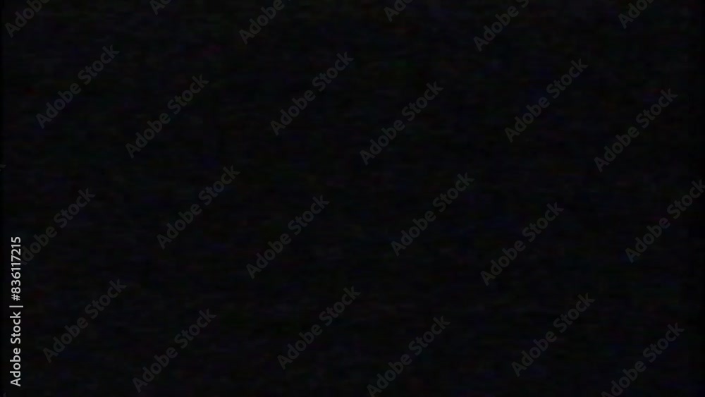 VHS Static Overlay - mp4 - Vintage VHS Overlays and Flares for Unique ...