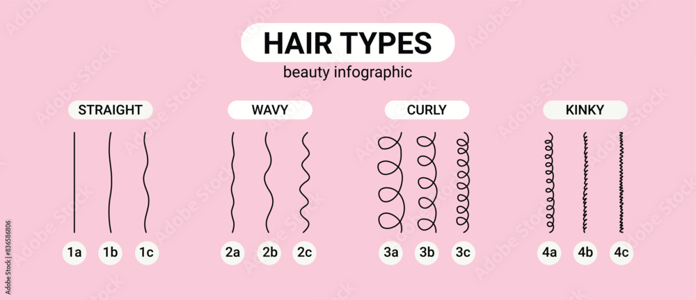 hair types beauty Classification. straight, wavy, curly, kinky. Scheme ...