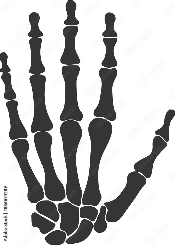 Human Hand skeleton on transparent background. Hand anatomy for medical ...