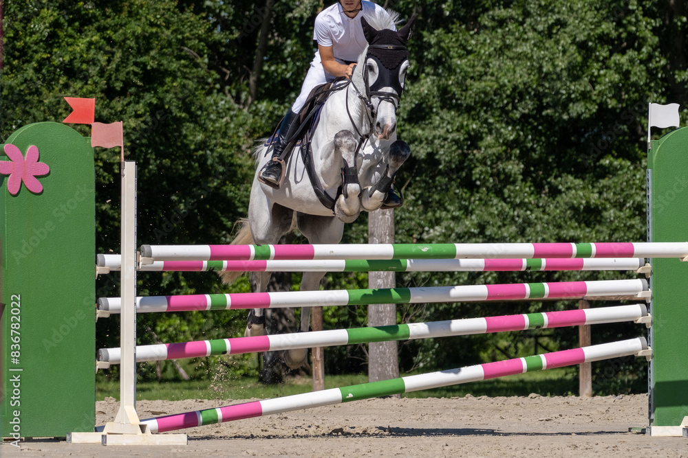 Show jumping competition on horseback. Horse Jumping, Equestrian Sports ...