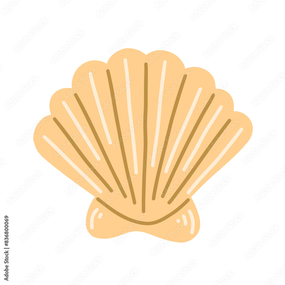 Seashell in a cute cartoon style isolated on white. Vector illustration ...