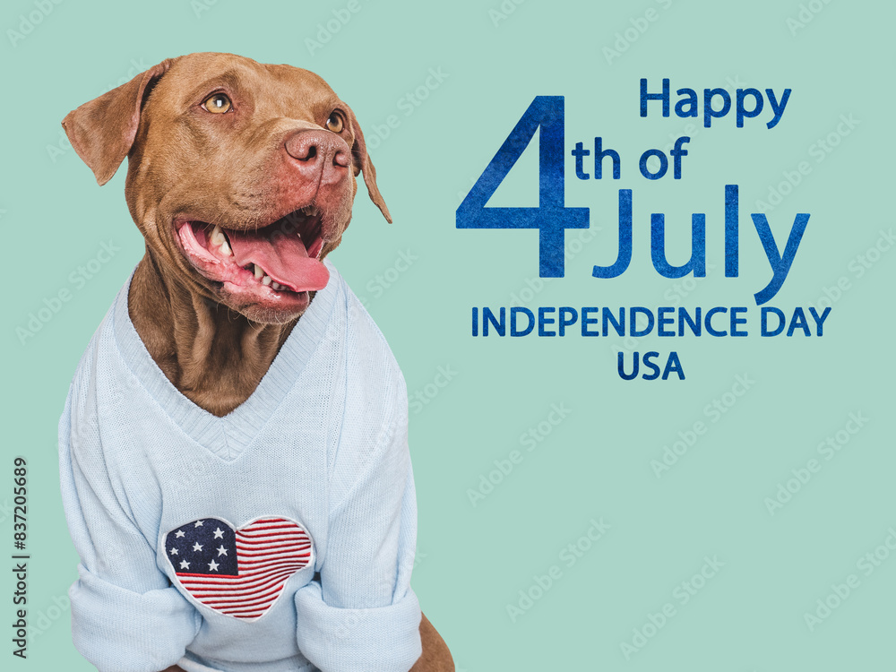 Happy Independence Day. American Flag, cute dog and congratulatory ...