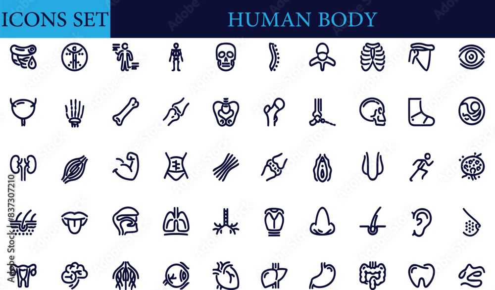 Human Body Line Editable Icons set. Vector illustration in modern thin ...