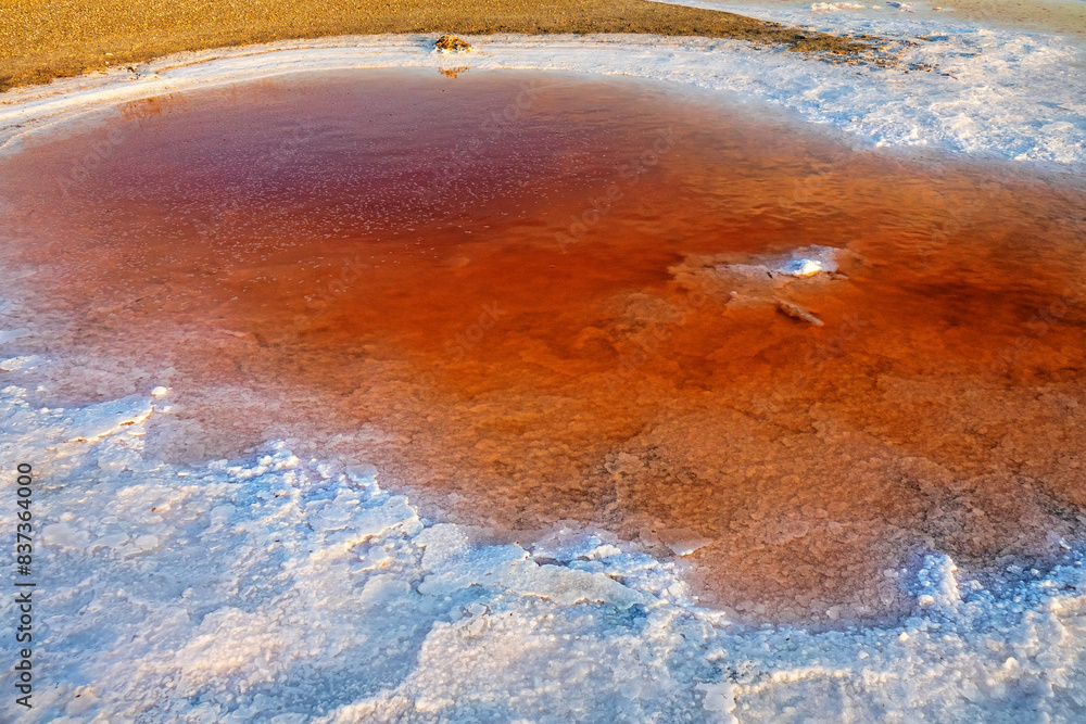 Subsidence funnels on salt marsh are filled with lakes of diverse ...