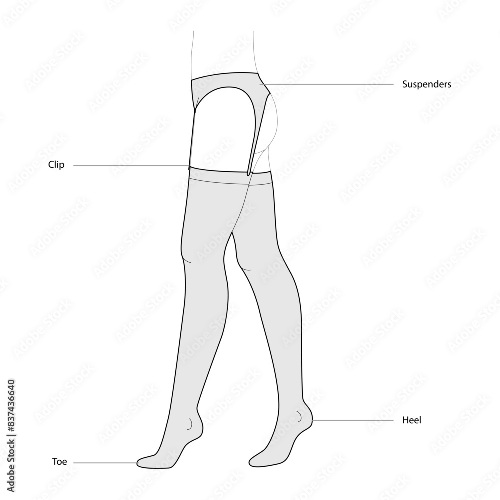 Stockings Suspenders Gatherbelt with diagram text names. Fashion ...