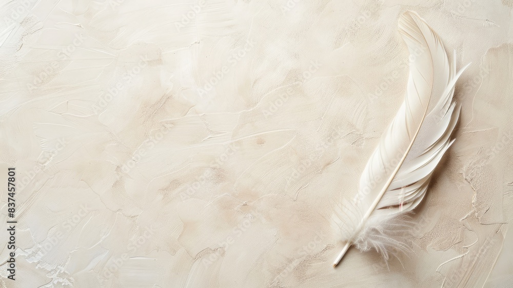 White feather on textured cream background Stock Illustration | Adobe Stock