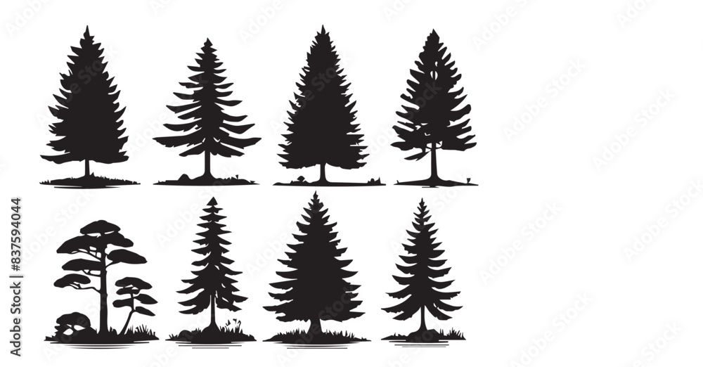 Poster Various types of Vintage woodland pine trees with ground soil ...